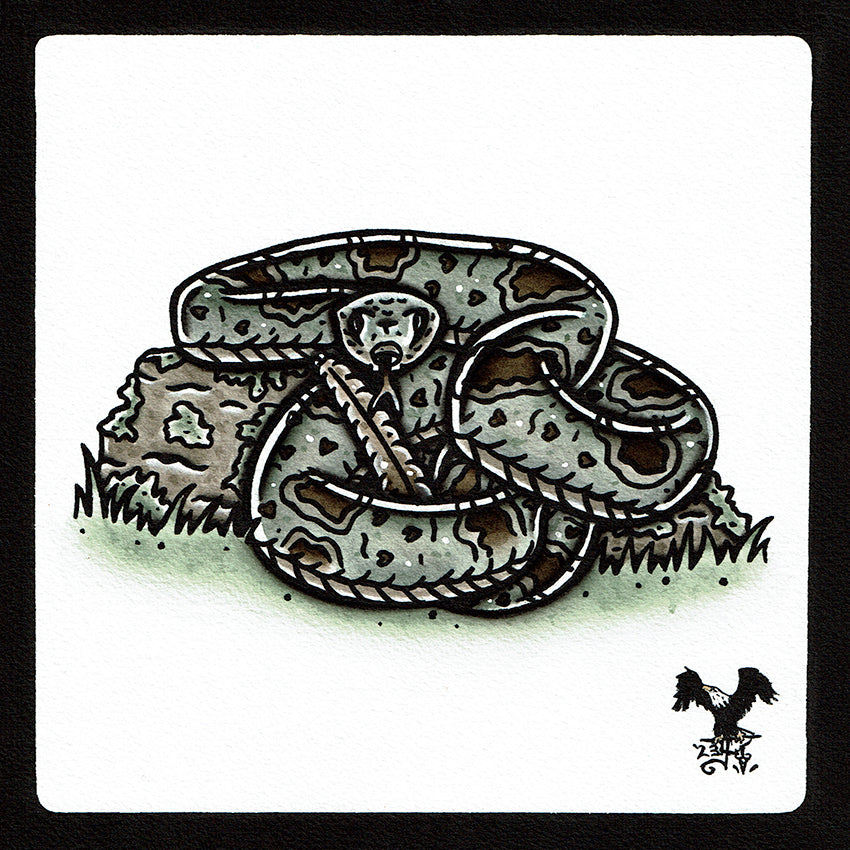 American Traditional Rattlesnake Tattoo